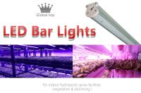 China PPFD 60Hz 18w Vegetable LED Grow Lights For Vertical Farming for sale