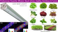 China PPFD 60Hz 18w Vegetable LED Grow Lights For Vertical Farming for sale