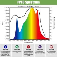 China Indoor 600 Watt Full Spectrum Quantum Board Board LED Bloom Grow Lights 110V IP65 for sale