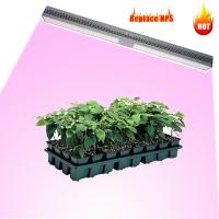China 640W Greenhouse LED Grow Lights PPFD AC 110V Greenhouse Supplemental Lighting for sale
