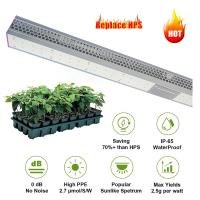 China Commercial Greenhouse LED Grow Lights Supplemental 320W 80 Ra for sale