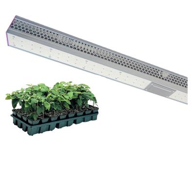 China Red Spectrum LED UV IR Grow Light 640W 660nm Greenhouse Customized for sale