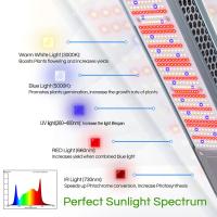 China Aluminum 600 Watt Greenhouse LED Grow Lights 2.8μmol/J 50Hz For Greenhouse for sale