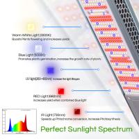 China Lm301b Greenhouse LED Grow Lights 110V Full Spectrum 600w LED Hydroponic Lights for sale