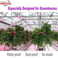 China Lm301b Greenhouse LED Grow Lights 110V Full Spectrum 600w LED Hydroponic Lights for sale
