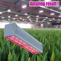 China 2.9μmol/J Greenhouse LED Grow Lights 600w High Efficacy For Plants for sale