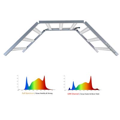 China Vertical Horticultural 1000W LED Grow Lights 3.1μmol/J Lm301b Lm301h for sale