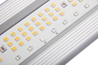 China 4x4 Grow Tent Indoor LED Grow Light Horti Spectra 720W AC 110V for sale