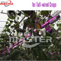 China Anodizing LED Grow Lights Greenhouse 60Hz 3D Inter Lighting Lamp For Indoor Plants for sale