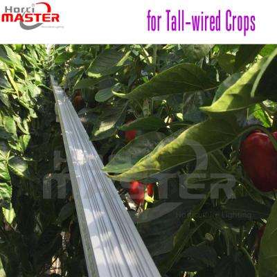 China Anodizing LED Grow Lights Greenhouse 60Hz 3D Inter Lighting Lamp For Indoor Plants for sale