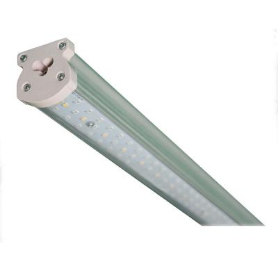 China 36W 660nm Vegetable LED Grow Lights 2.9μmol/J For Vegetative Blooming for sale