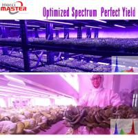 China 36W 660nm Vegetable LED Grow Lights 2.9μmol/J For Vegetative Blooming for sale