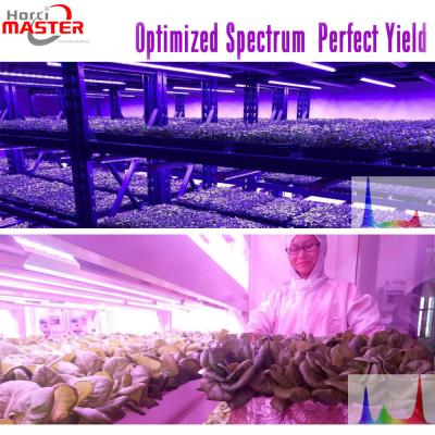 China 18 Watt LED Bar Grow Lights 60Hz IP65 AC 305V PPFD Vegetative Blooming for sale
