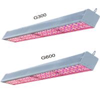 China Full Spectrum LED Grow Tube 640W PPFD LED Grow Lights For Tomatoes for sale