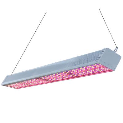 China Lm301b UV LED Supplemental Grow Lights IP65 Full Spectrum For Plants for sale