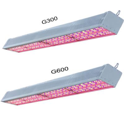 China Greenhouse Supplemental Grow Light UV Spectrum Lm301b 3.0μmol/J IP65 for sale