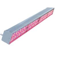 China 660nm Red UV LED Supplemental Grow Lights Lm301b AC 240V For Plants for sale