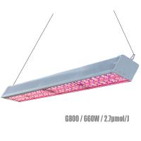China Full Spectrum UV LED Supplemental Grow Lights 600W Lm301b For Houseplants for sale