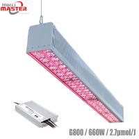 China UV LED Supplemental Grow Lights Lm301b 60Hz For Medical Herbs for sale