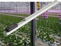 China Greenhouse Vegetable Seedling Grow Lights / Aluminum Plant Light 2.9μmol/J 660nm for sale