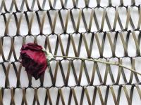 China Aluminum Decorative Wire Mesh 1-7m Width 1mm-3mm Wire Diameter for sale