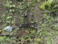 China 4.0mm Wire Od Rockfall Protection Netting for sale