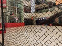 China High Carbon Steel Chain Link Fence Mesh 2mm Wire 48mm/65mm Width with 1770N/mm² Tensile Strength for sale