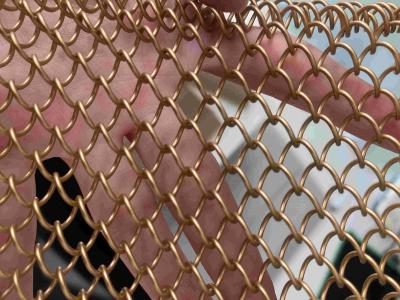 China Baking Varnish Decorative Wire Mesh Shiny Silver Metal Coil Curtain for sale