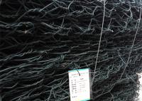China Heavy Gabion Wire Mesh 2.0-4.0mm with PVC Coating for Rockfall Protection and River Bank Stabilization for sale