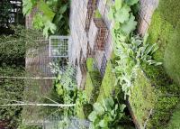 China Galfan Coated Welded Gabion Baskets 3.0-6.0mm Wire 1x1x1m Size with 50% Enhanced Corrosion Resistance for sale