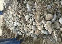 China PVC Coated Gabion Mesh Sack 2.0-4.0mm Wire Diameter with 0.54-1.80m³ Capacity for Erosion Control for sale