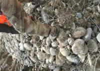 China Galvanized Steel Cylindrical Gabion Mesh Cage 2.7mm Wire Diameter with 0.6-0.95m Diameter Options for Flood Protection for sale