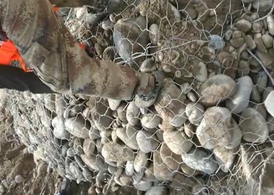 China Galvanized Steel Cylindrical Gabion Mesh Cage 2.7mm Wire Diameter with 0.6-0.95m Diameter Options for Flood Protection for sale