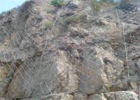 China PVC Coated Galvanized Rockfall Netting 2.0mm-4.0mm Wire with 50mm Diamond Holes for Slope Protection for sale