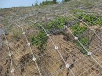China Stainless Steel Spiral Rope Mesh Slope Protection System with 250-2000 kJ Capacity and 1.2-4.0mm Wire Diameter for sale
