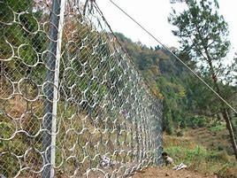 China Galvanized Steel Ring Mesh 8.0mm Wire Diameter 300mm Mesh Size Slope Stabilization System for sale