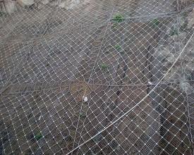 China Stainless Steel Flexible Slope Protection Wire Mesh Netting - 8mm Wire Diameter, 250-2000 kJ Capacity for sale