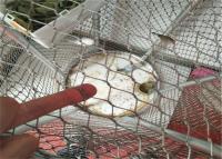 China 2mm Stainless Steel Cable Netting 7x7 for Zoo Aviary Mesh for sale
