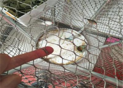 China 2mm Stainless Steel Cable Netting 7x7 for Zoo Aviary Mesh for sale