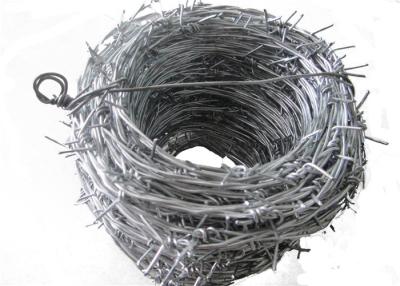 China 3.2mm Galvanized Razor Barbed Wire Coil with 1.5-3cm Barbs for Anti-Theft Security Fencing for sale