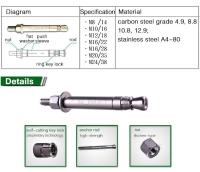 China Grade 12.8 Self Undercut Anchor Bolts ETA Approved HILTI CE Certified Carbon Steel 316L for sale