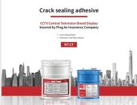 China Epoxy Resin Crack Sealing Adhesive for Concrete Joint Repair 2:1 Ratio for sale