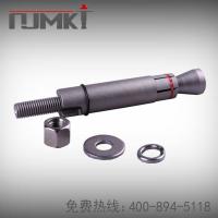 China ETA Approved HILTI Self Undercut Anchor Bolts Stainless Steel Grade 8.8 M12 for sale