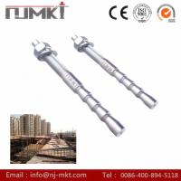 China High Loading Chemical Expansion Anchor Bolts Stainless Steel 304 316 M10 M12 for Construction for sale