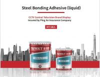 China Epoxy Resin Steel Bonding Adhesive 2:1 Ratio for High Strength Steel Bonds Impregnation for sale
