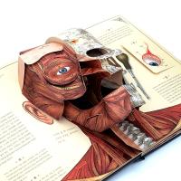 China Custom Hardcover Cartoon Pop Up 3D Children Book Printing Service for sale