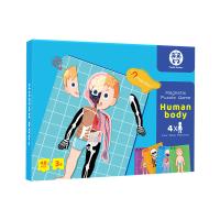 China Magnetic Human Body Anatomy Play Set With 48 Magnetic Pieces And Storage Box for sale