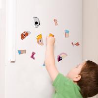 China Magnetic Human Body Anatomy Play Set With 48 Magnetic Pieces And Storage Box for sale