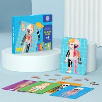 China Magnetic Human Body Anatomy Play Set With 48 Magnetic Pieces And Storage Box for sale