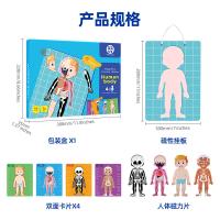 China Magnetic Human Body Anatomy Play Set With 48 Magnetic Pieces And Storage Box for sale